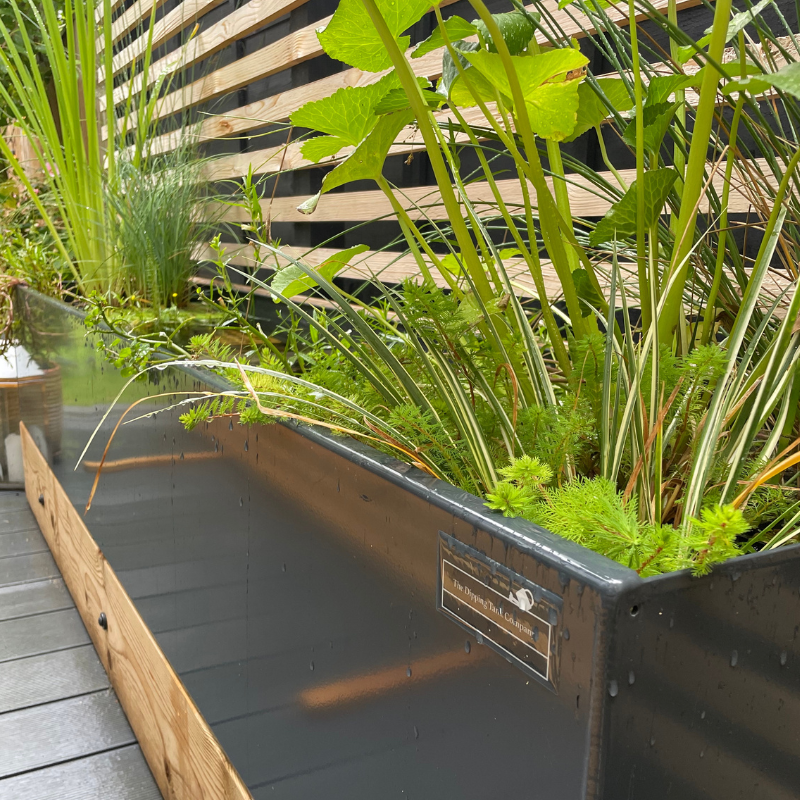 The Dipping Tank Company